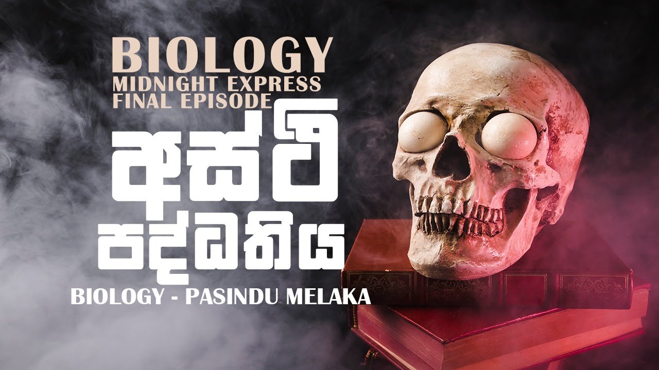 අස්ථි පද්ධතිය වැදගත්ම කොටස් | Midnight Express Final Ep | 2025 #biology ...