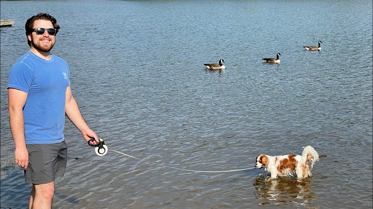 A Day In The Life of The Devonshires! - YouTube