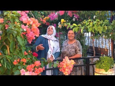 Misafir Bahçeler 2. Bölüm Fragmanı (Begonvil Kraliçesi)