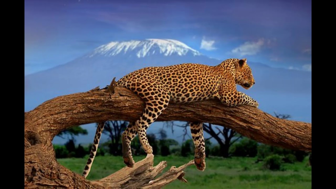 BEST 100 photos ever - YouTube