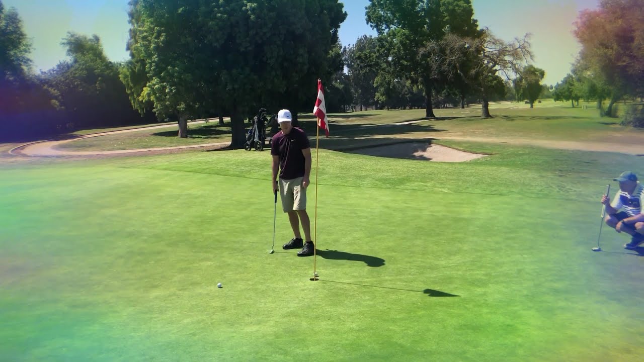 Berd with an unusual dipsy do - YouTube