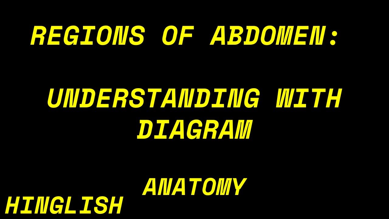 Regions of Abdomen: Understanding With Diagram, Anatomy (Hinglish ...