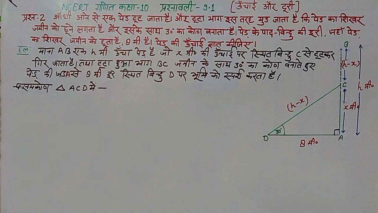 Class 10th NCERT Maths Chapter 9 Exercise 9.1 Question 2 ( Height And ...