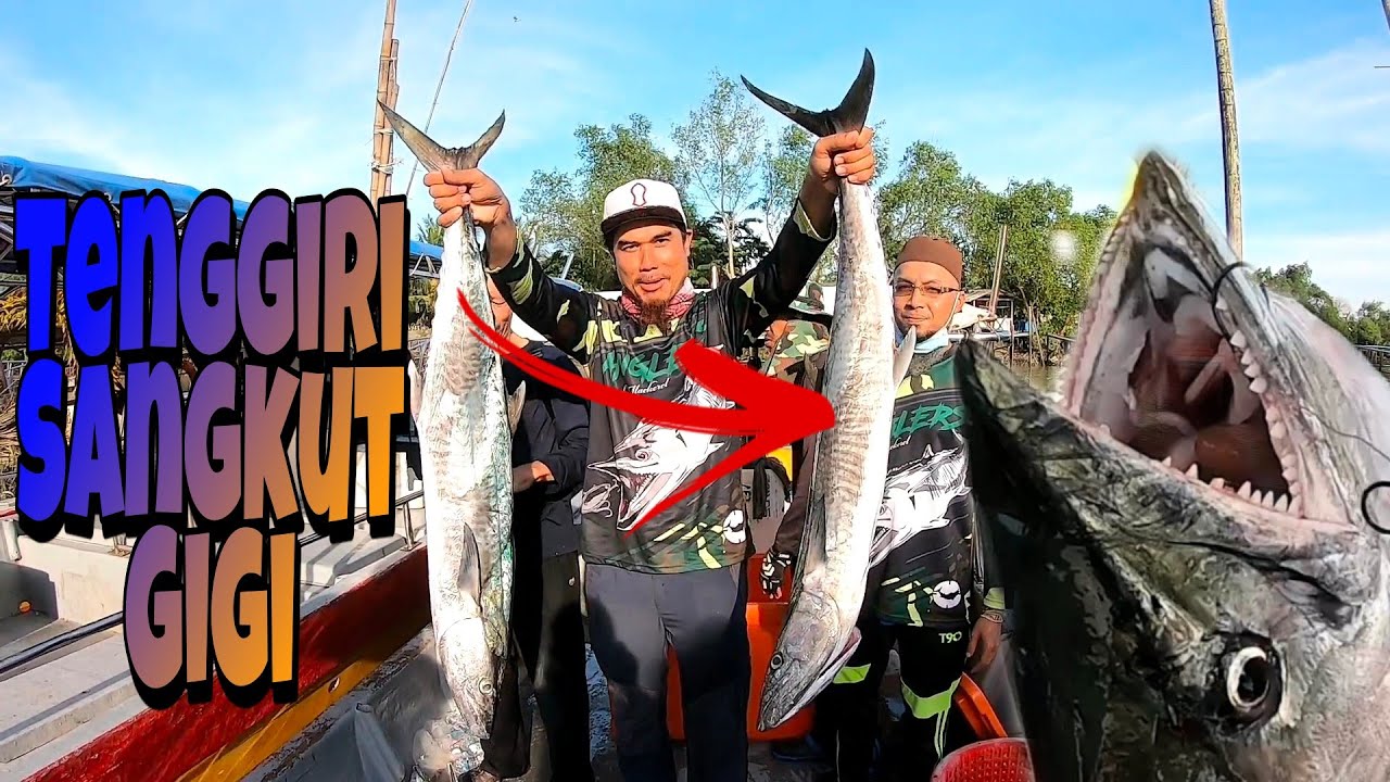 Mancing Tenggiri Di Tuas Darat Along Mengigil Tangan Dibuatnya Banyak ...