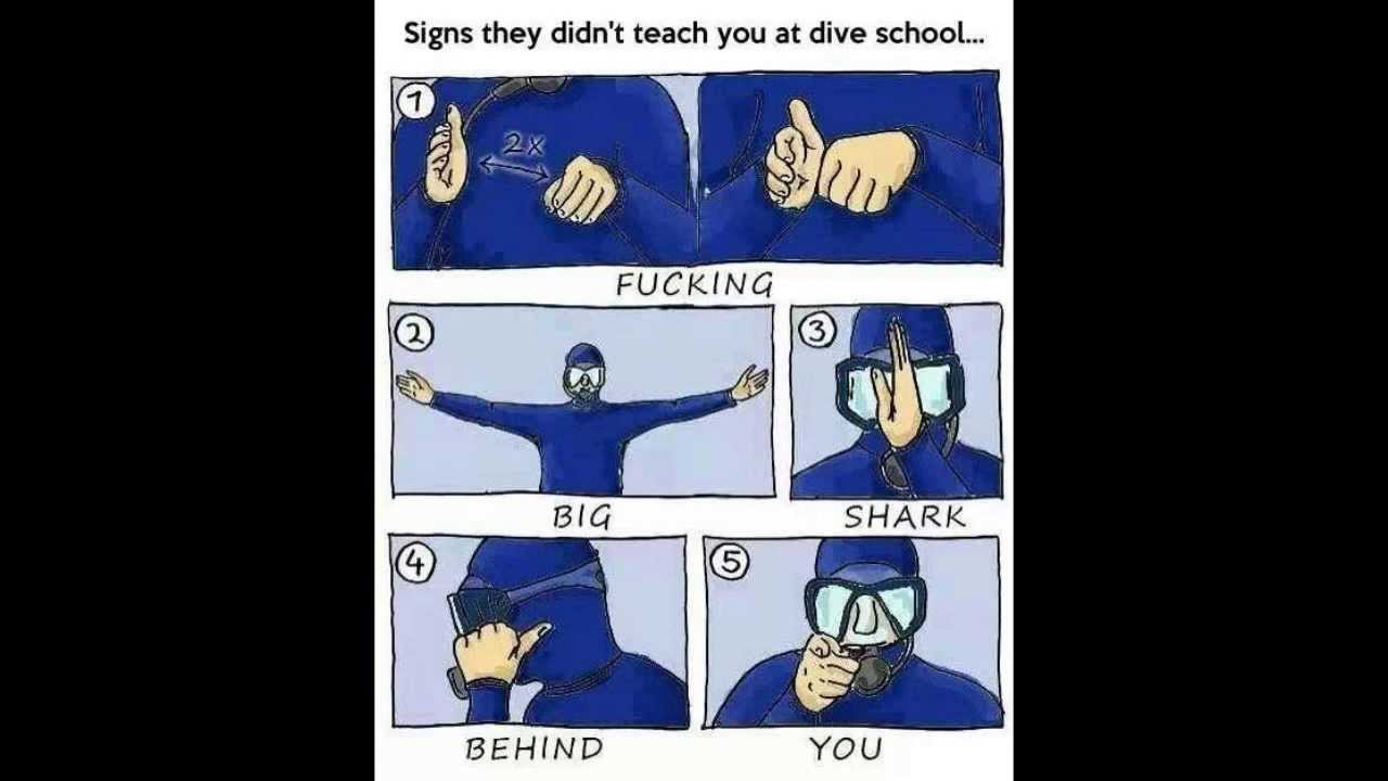 Underwater counting and other hand signals : r/scuba