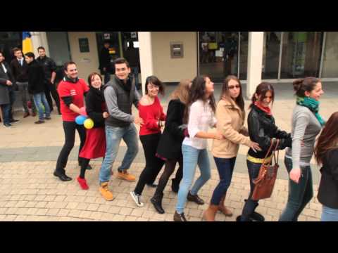 Dansul Pinguinului - Romanian Society Uni.of Essex