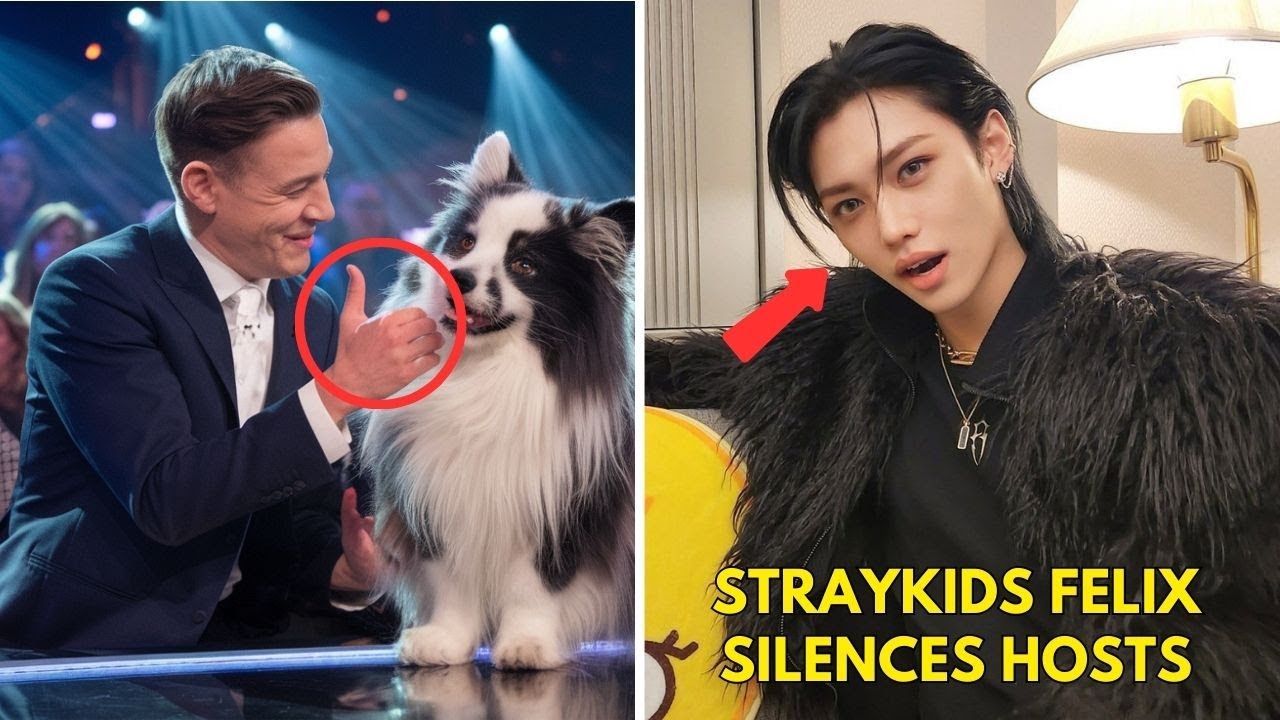 The host tried to insult Straykids mom Felix, but Felix Lee did just ...