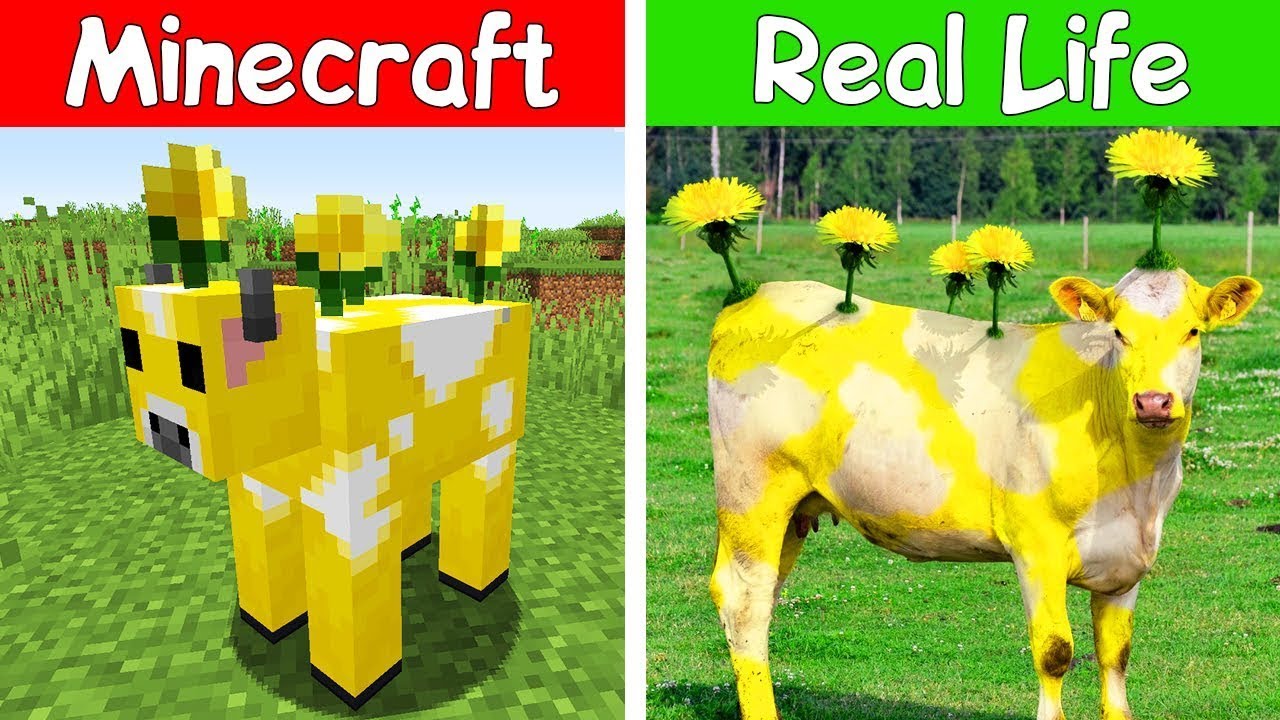 Realistic minecraft ! Realistic water ! lava ! Slime block ! - YouTube