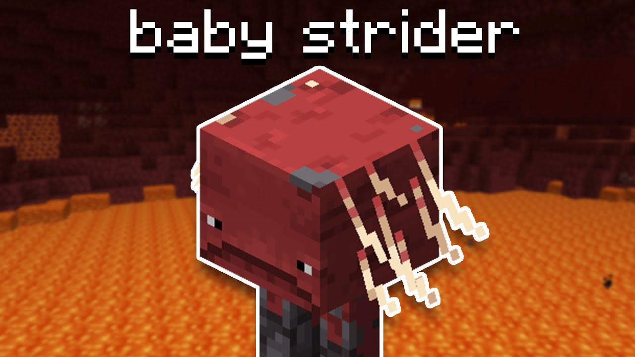 baby strider in minecraft - YouTube