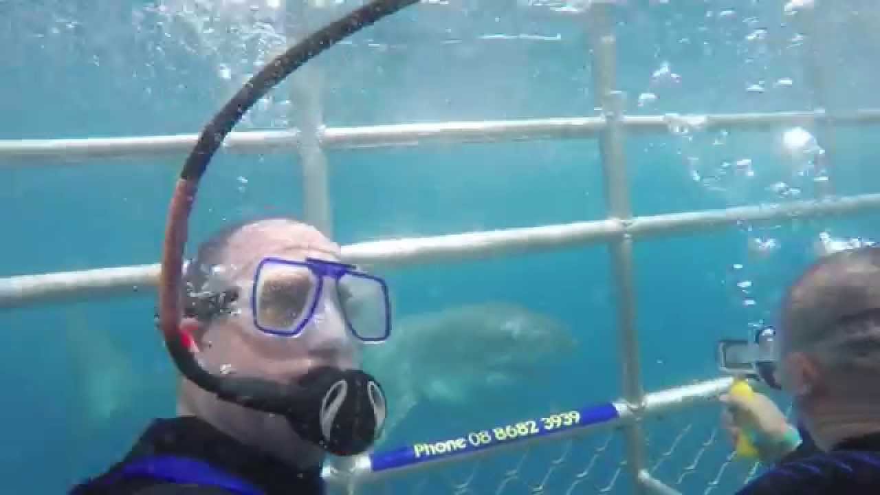 Shark Cage Diving - Port Lincoln South Australia 28th November 2015 ...