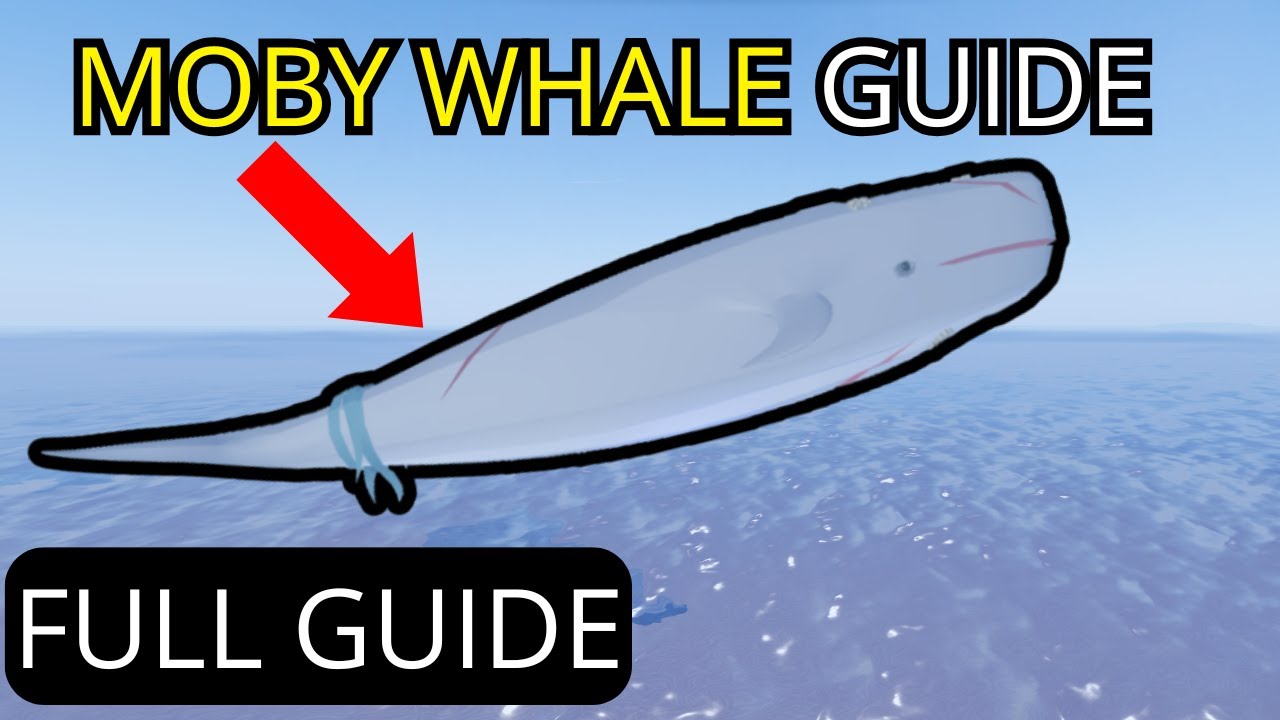Comment Faire Apparaître le Moby Whale dans la Nouvelle Mise à Jour ...