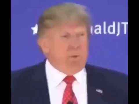 Baba Booey: Video Gallery | Know Your Meme
