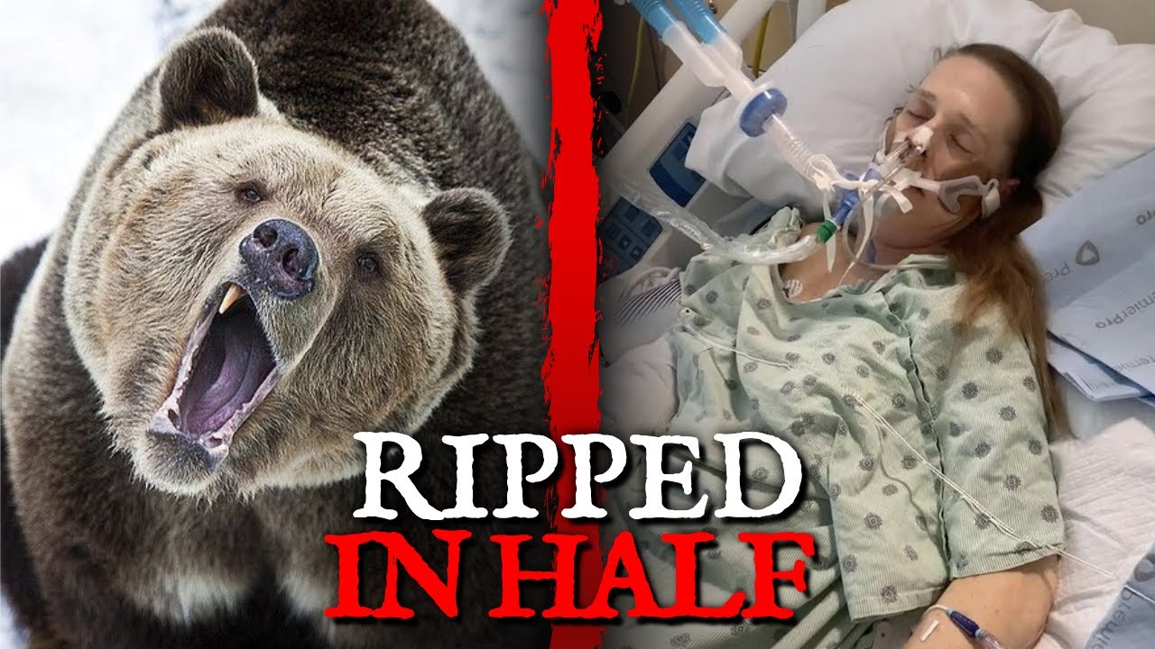 Grizzly Bear FATALLY MAULS Geologist in Alaska - YouTube