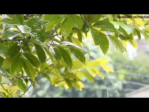 Rain sounds with piano music for Relaxing #shorts