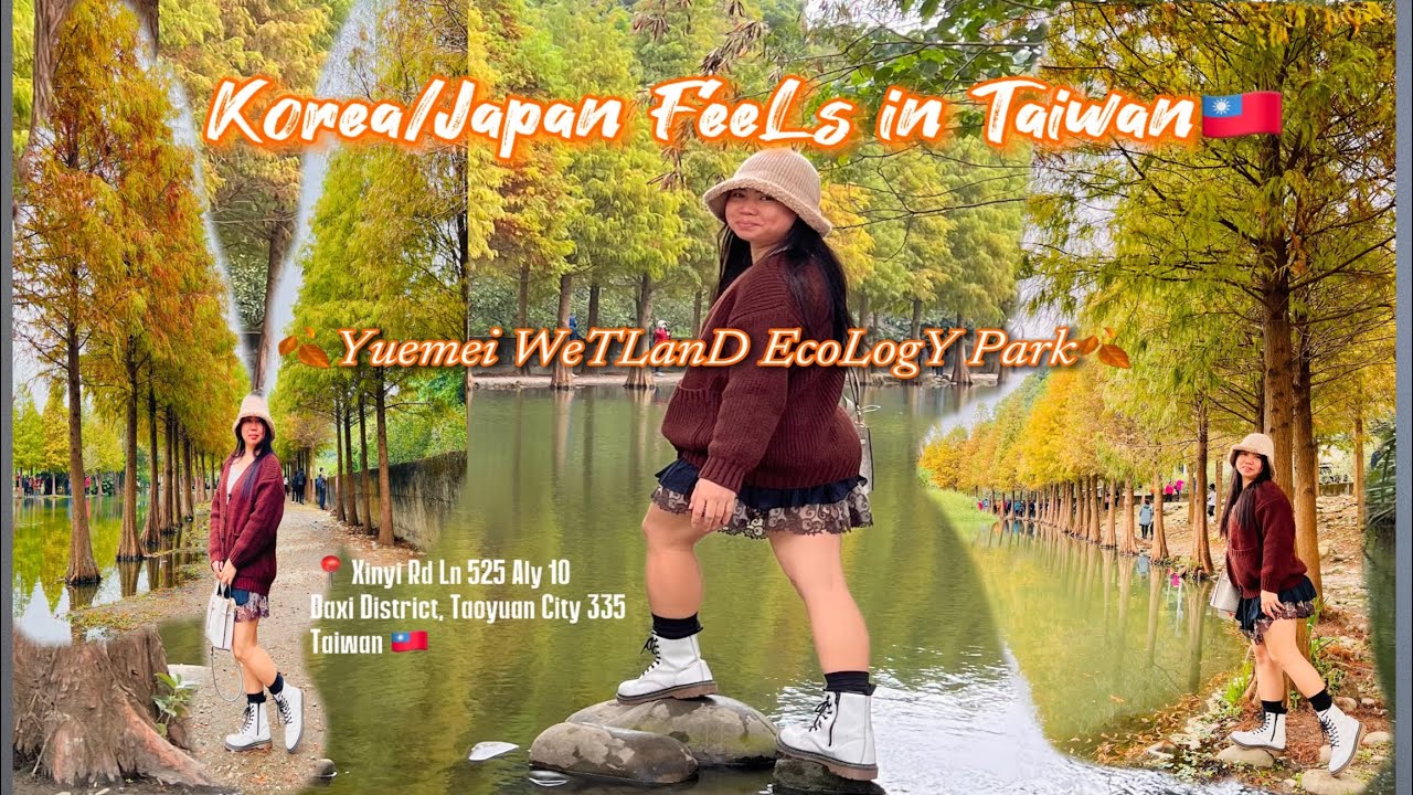 Korea/Japan feels in Taiwan | 🍂 Yuemei Wetland Ecology Park 月眉人工濕地生態公園 📍Daxi District,Taoyuan ...