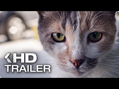 KEDI Trailer German Deutsch (2017)
