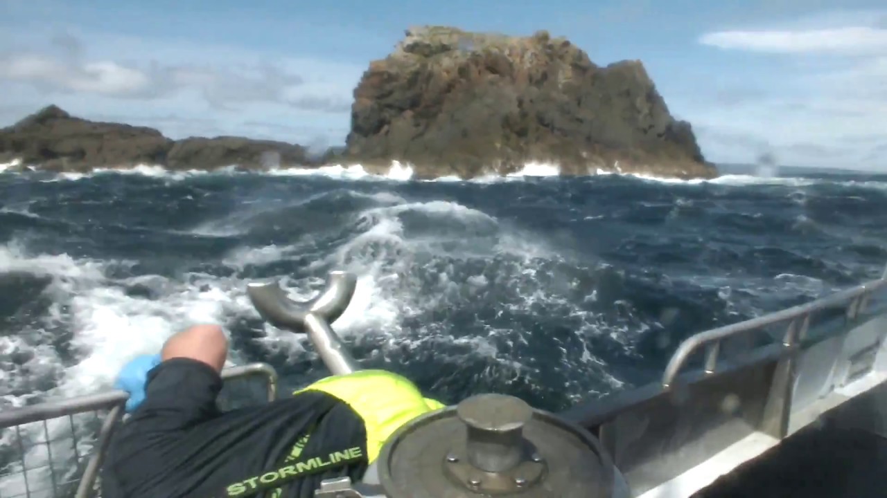CRAYFISHING ON THE WESTCOAST OF TASMANIA . 25 SIZE CRAYFISH. - YouTube