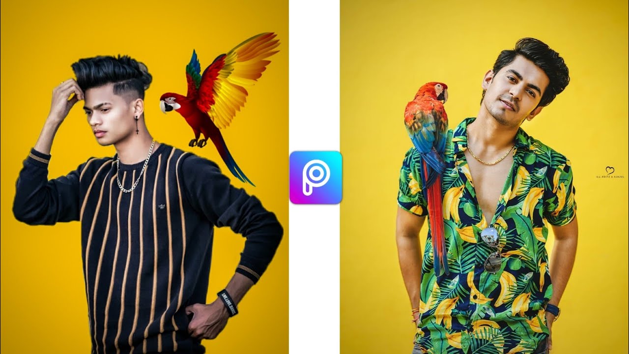PicsArt PARROT PHOTO EDITING/Picsart photo editing - YouTube