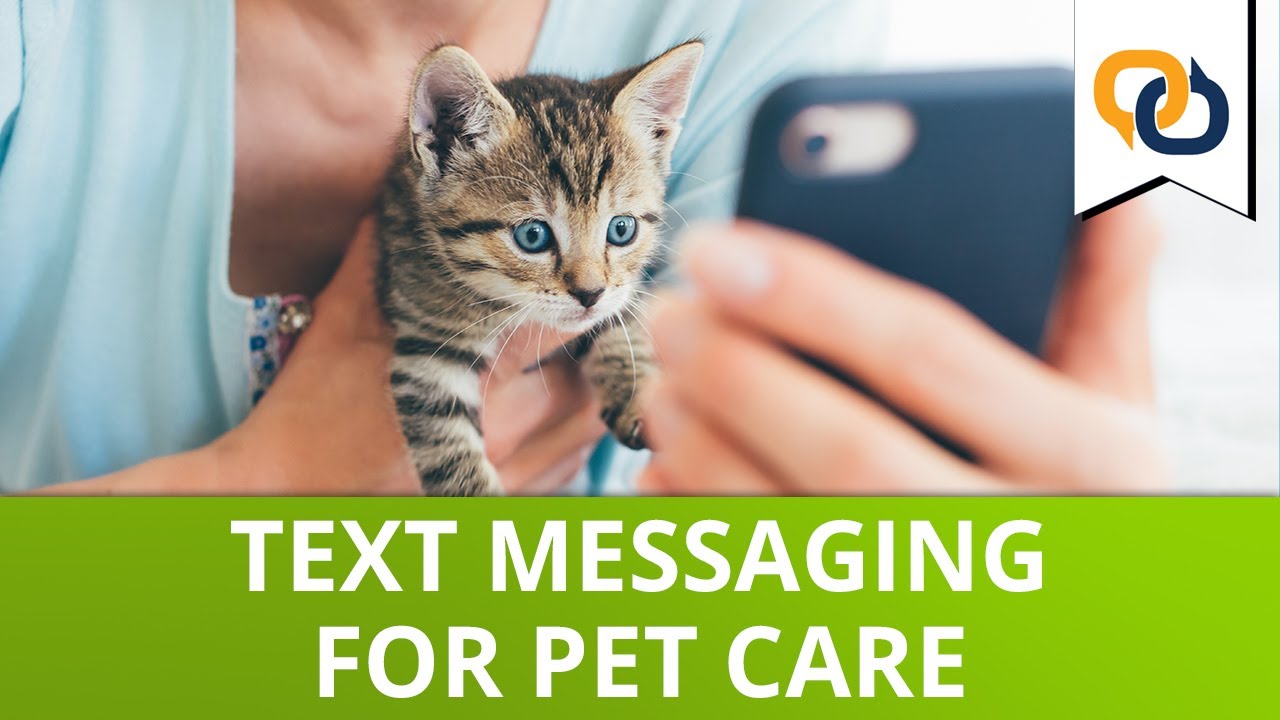 See How Text Messaging for Pet Care is Growing and Expanding Service ...