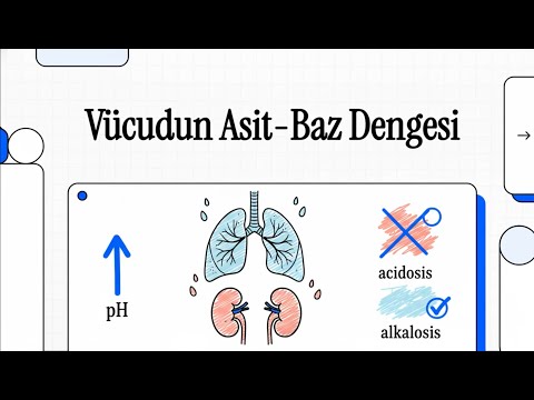 Asit Baz Dengesi / Hemşirelik Dahiliye Dersi