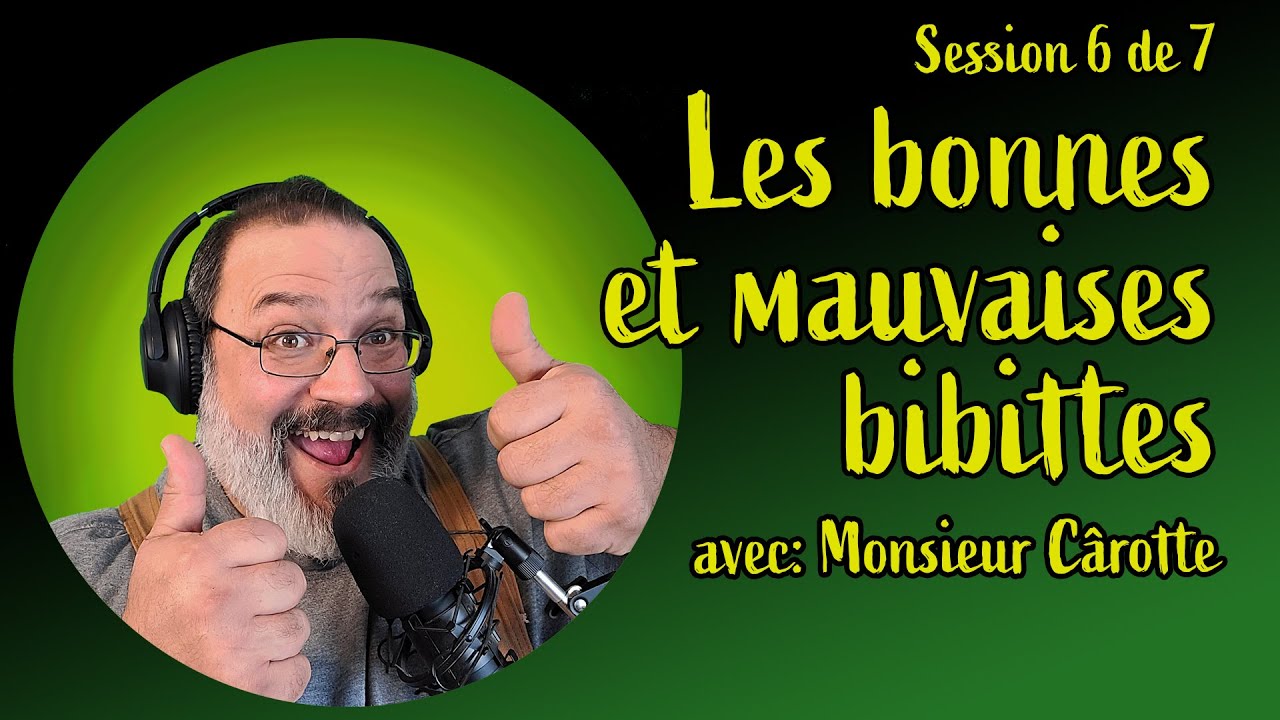 les bonnes et mauvaises bibittes - YouTube