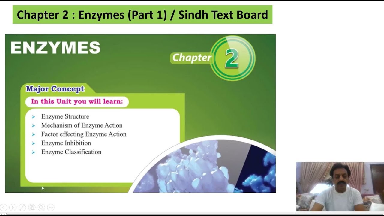 Chapter 2: / First Year Biology / Enzymes / (Part 1) / Sindh Text Board ...