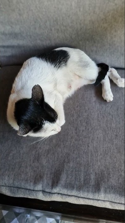 Taking day off - YouTube