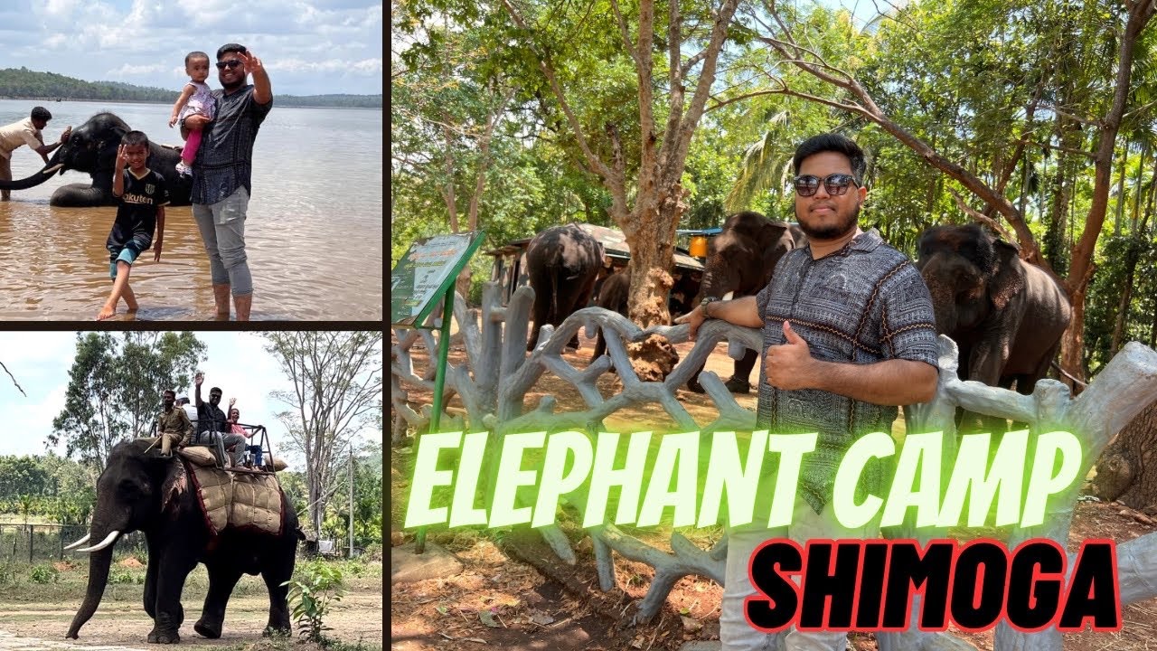 Sakrebyl Elephant Camp, Shimoga || Jungle Trip || Kids Holidays. 🐘 # ...