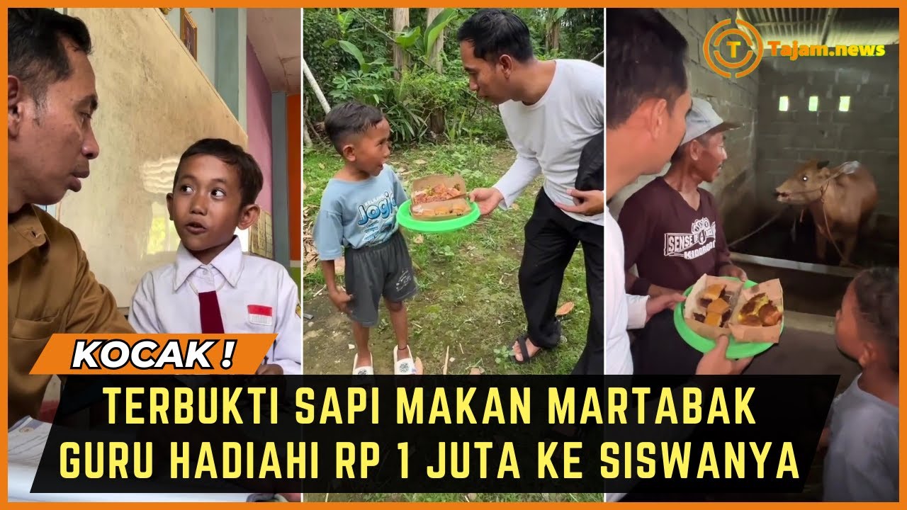 KOCAK ! BUKTIKAN SAPI MAKAN MARTABAK BIKIN NGAKAK - YouTube