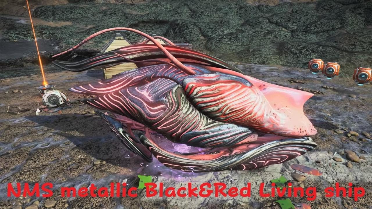 NMS Metallic Black&Red Living ship - YouTube