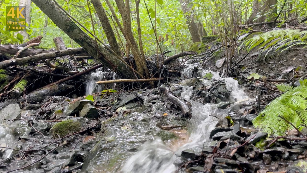 Norwegian mountain stream on a rainy day - YouTube