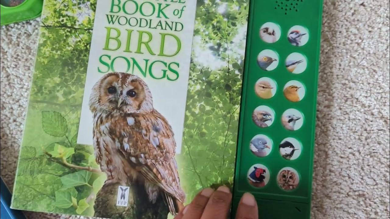Bird sound books for children - YouTube