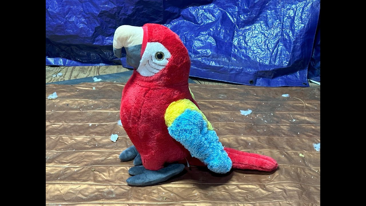 Destroy Large Stuffed Animal Parrot Rip and Shred - YouTube