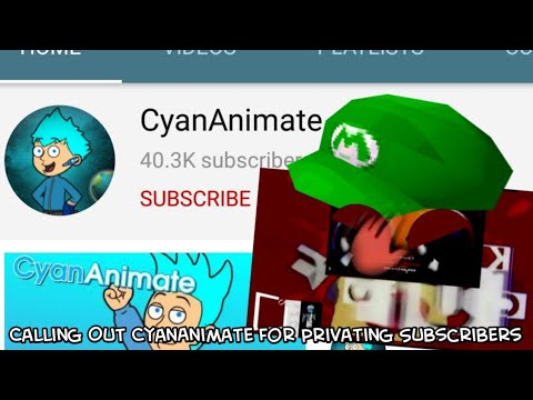 My Opinion Of CyanAnimate Privating Subscribers - YouTube