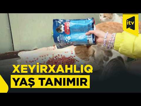 Kiçik əllər, böyük ürək: bir uşağın küçə heyvanlarına sevgisi