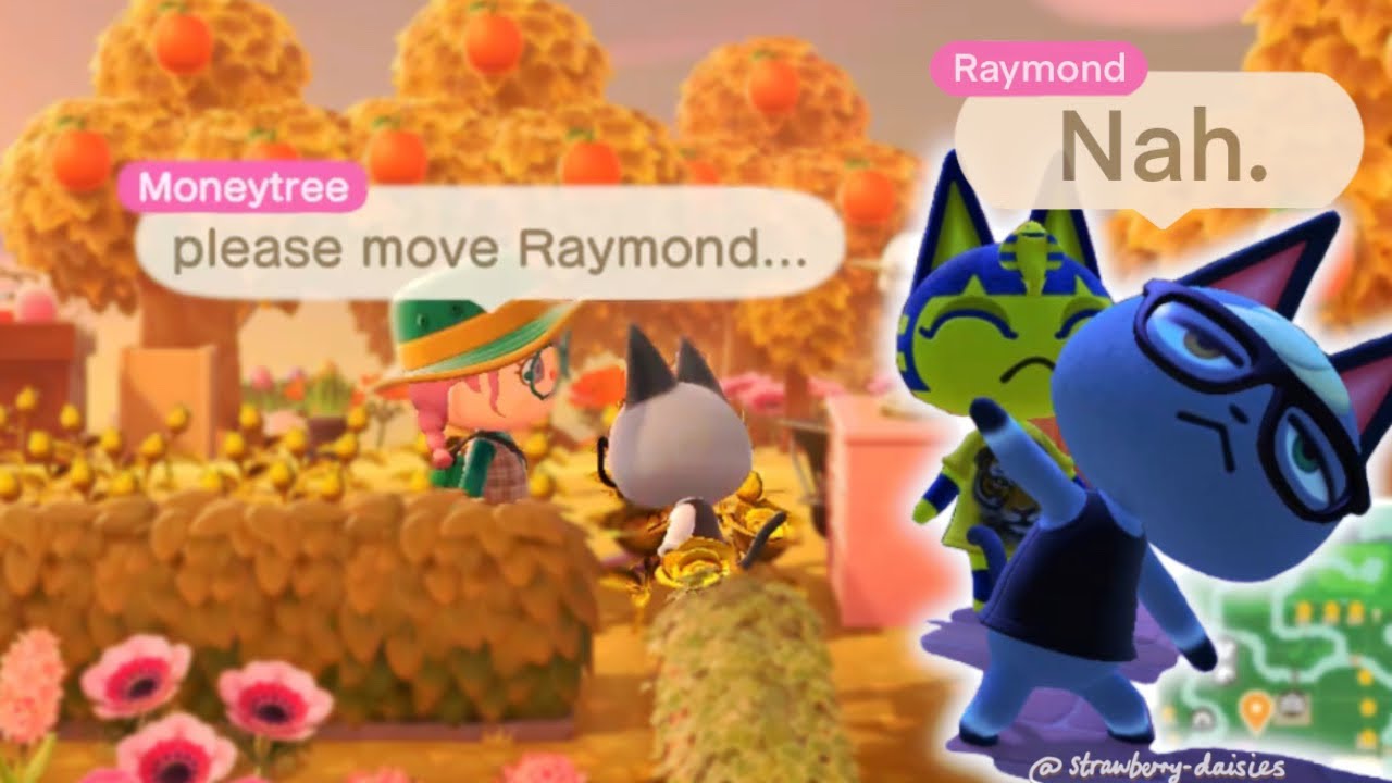 Raymond moments on my island | Animal Crossing New Horizons Villager ...