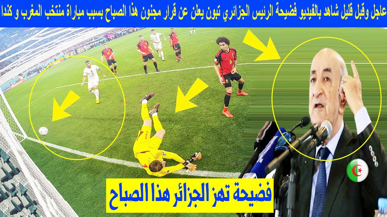 عاجل شاهد فضيحة الرئيس الجزائري تبون يعلن عن قرار لايصدق هذا الصباح