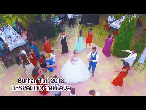 Ork tiniler kocek despasito talava 2017 oficial