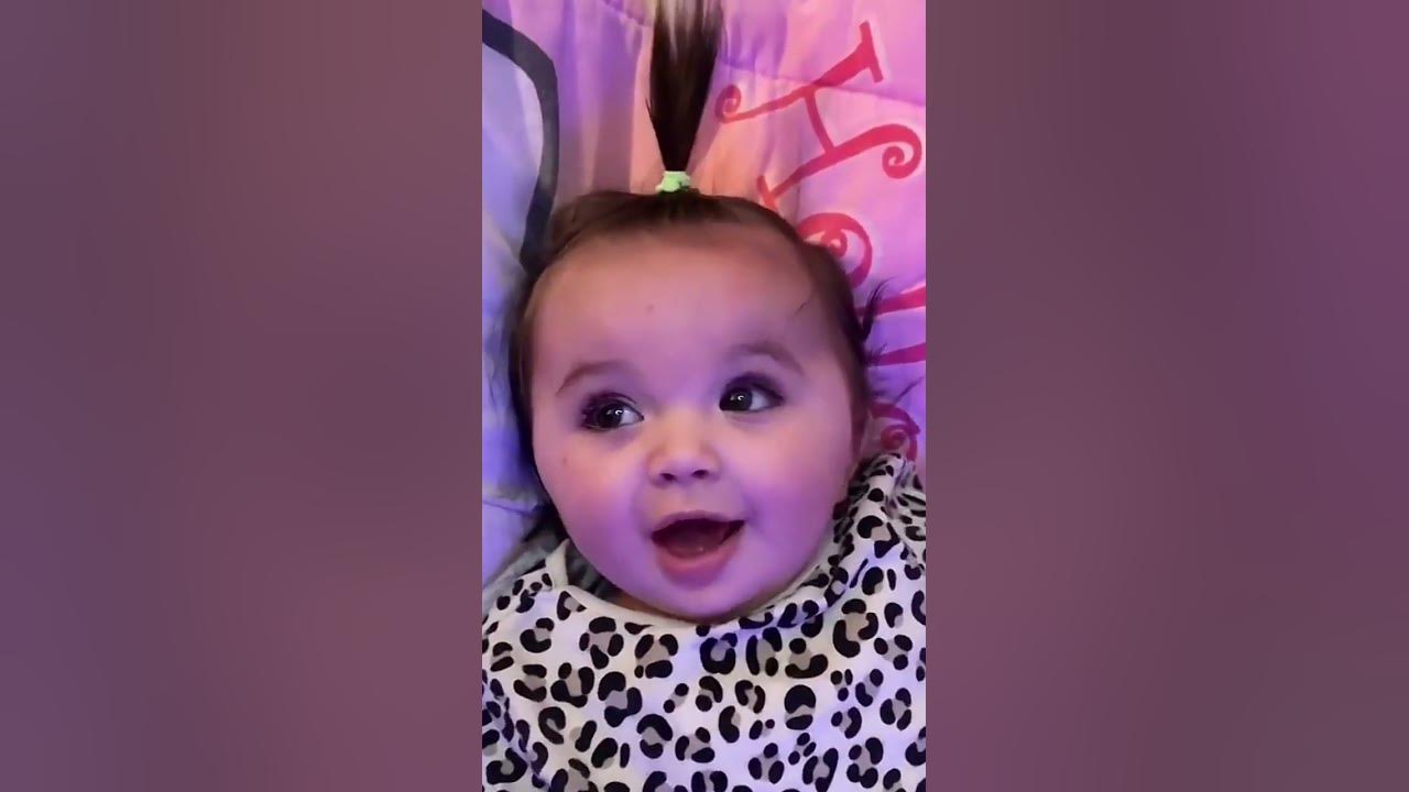 Cutie Pies 🥰 ️🥹 Youtube