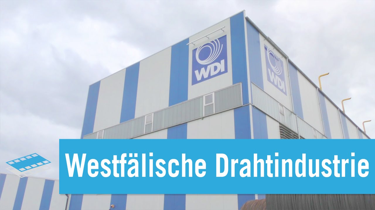 Wdi Logo Company
