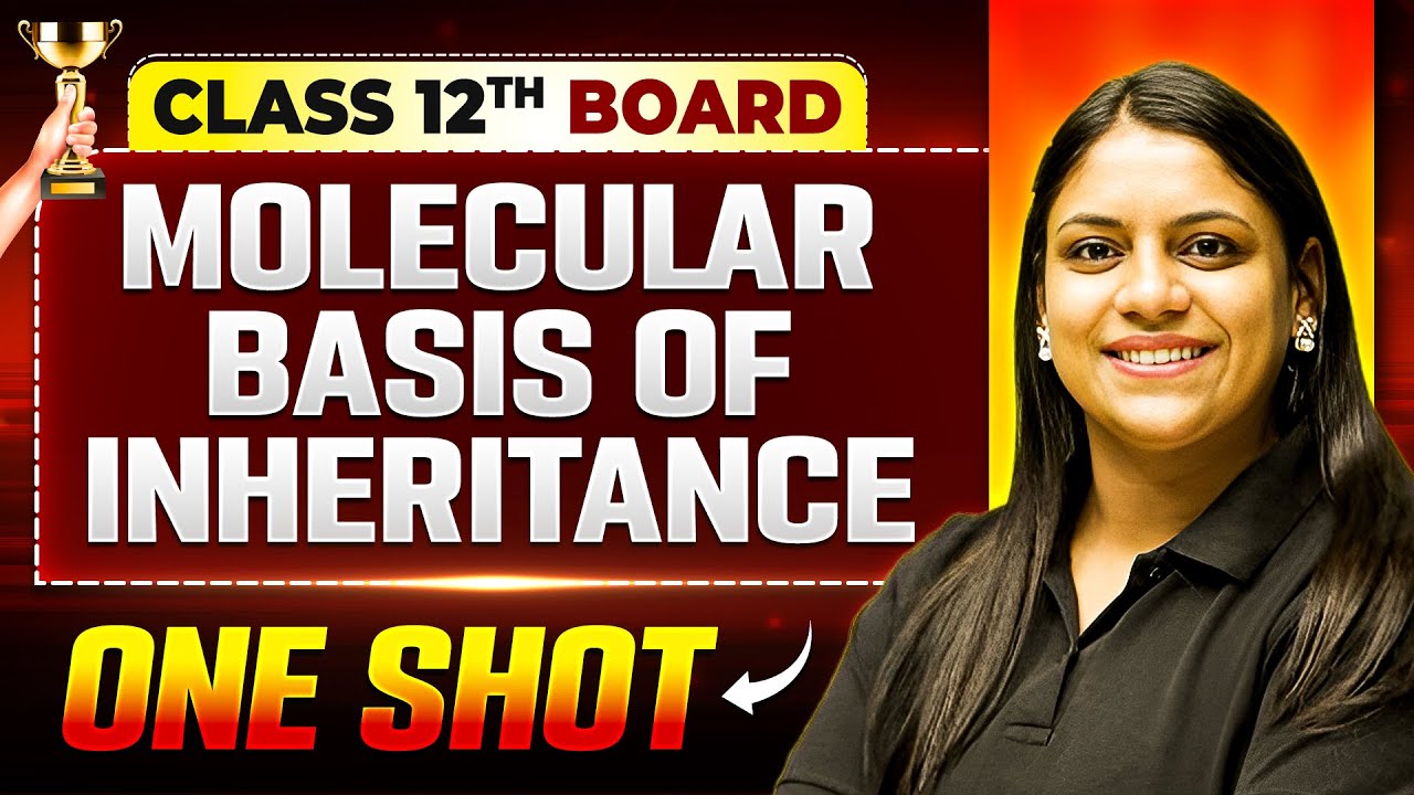 Molecular Basis Of Inheritance One Shot | Biology | Class 12th Boards | Vijeta 2025 - YouTube