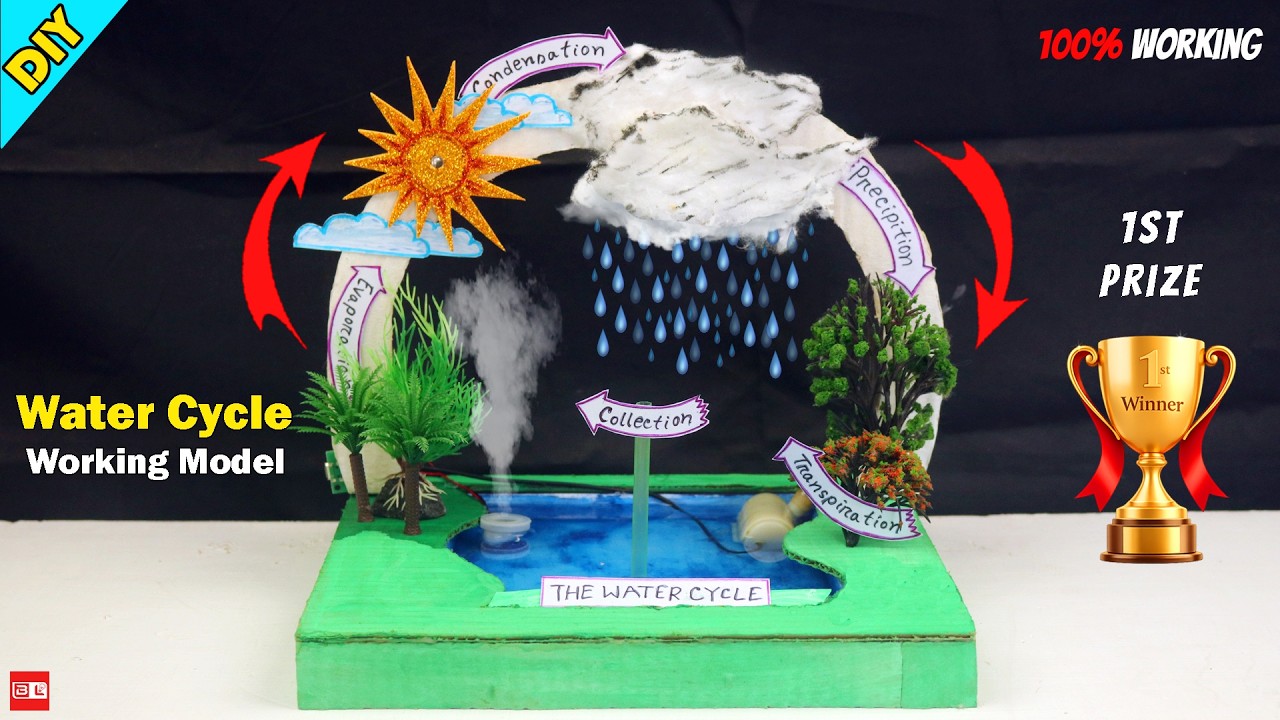 This REAL Working Water Cycle Model | Award Winning Science Project ...