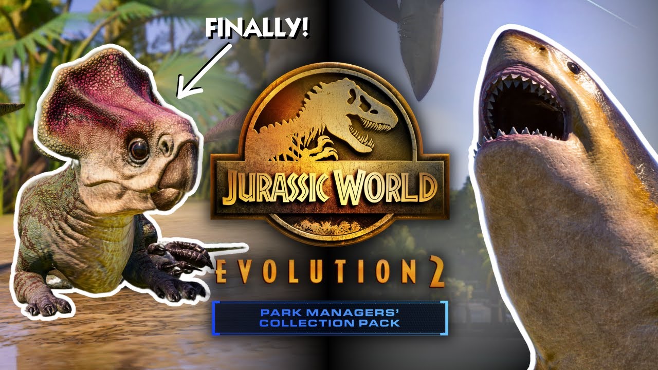 Jurassic Park Bouwer Megalodon Gevecht Jurassic World' Sequel Will