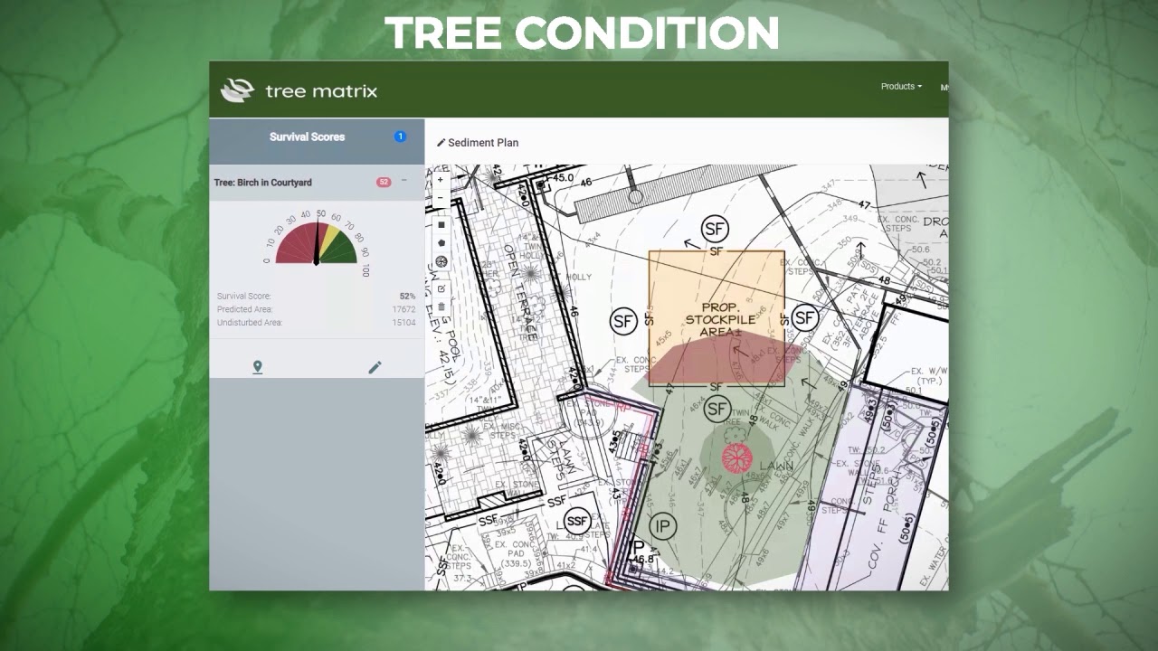 Tree Matrix - YouTube