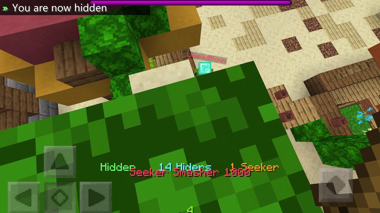 HIDE AND SEEK MINECRAFT (The Hive) Part 1 - YouTube