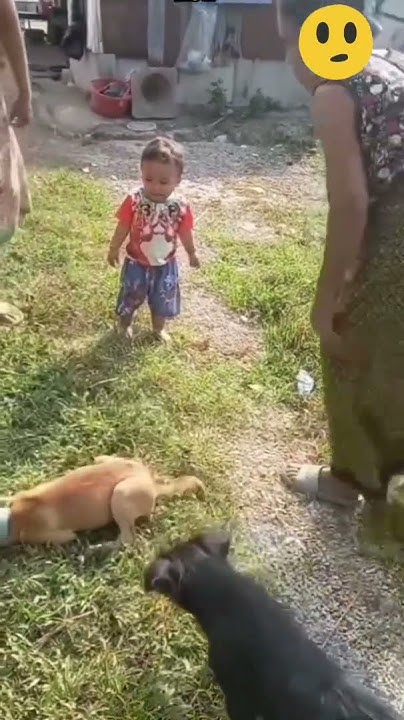 អាមិចទេ! ចូលរួុចចេញមិនរួុច😀😂 | Khouck Veasna #eating #cambodia #likeforfollow #kore #lvelive # ...