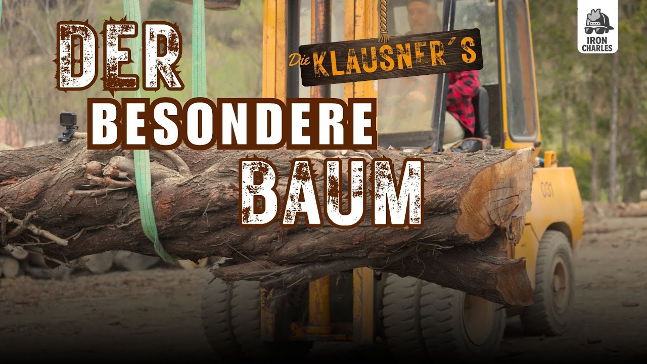Der besondere Baum - Ein steirisches "Kriachal" im Scharfschnitt - YouTube
