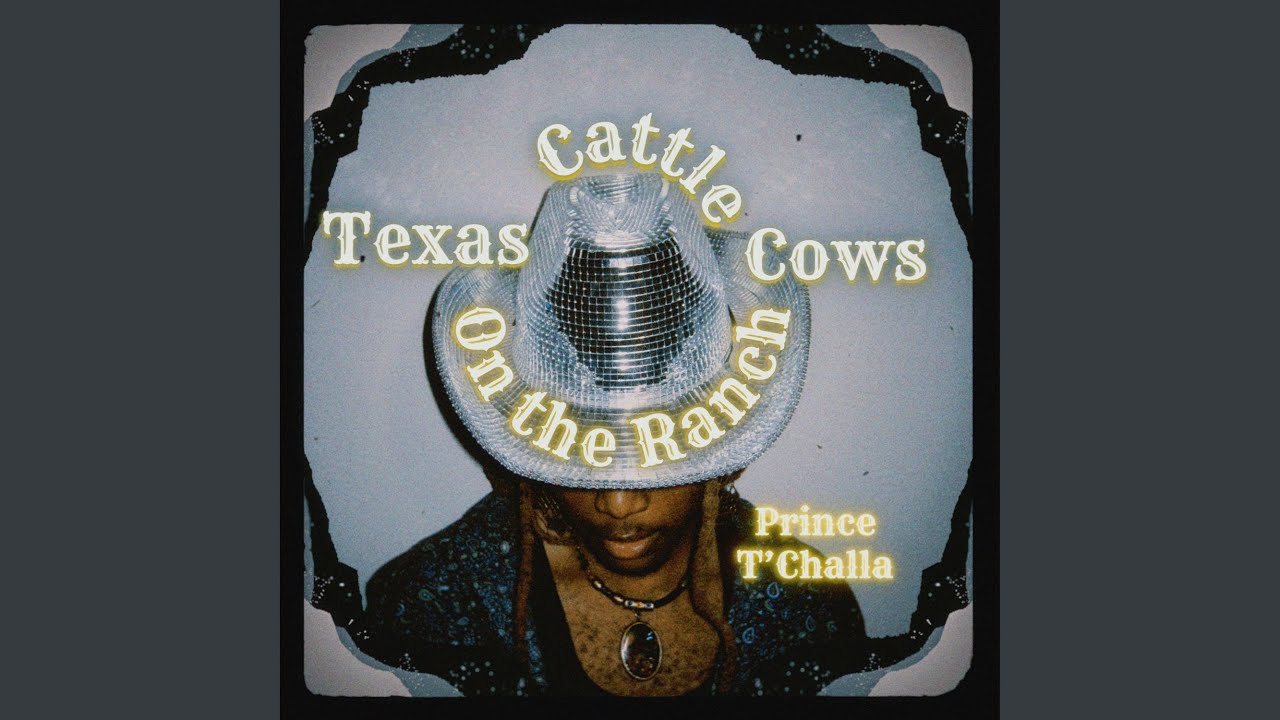 Texas Cattle Cows - YouTube