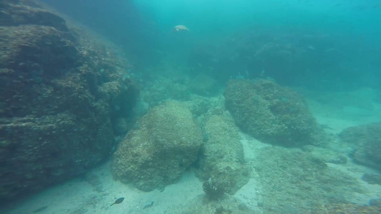 Fujairah Inchcape 1 and 3 rocks SHORT VERSION - YouTube