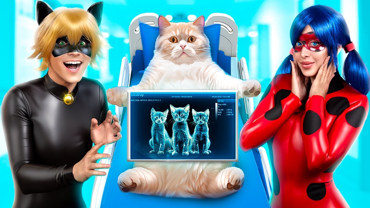 Ladybug Found a Pregnant Cat! Miraculous Ladybug vs Cat Noir - YouTube